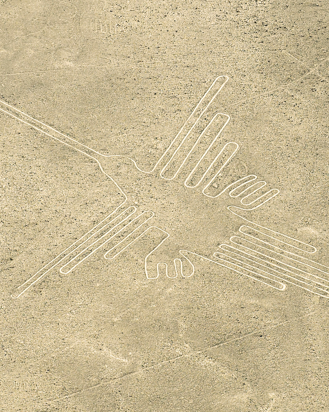 Sobrevuelo a las líneas de Nazca desde Lima y Pisco Charter - Peru Vip ...